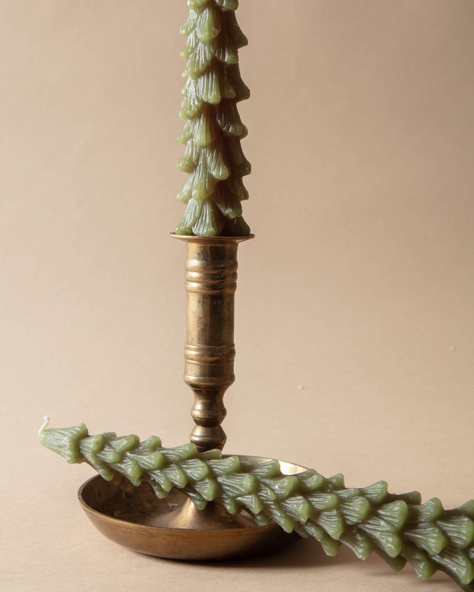 Evergreen Tree Taper Candles – Lone Fox