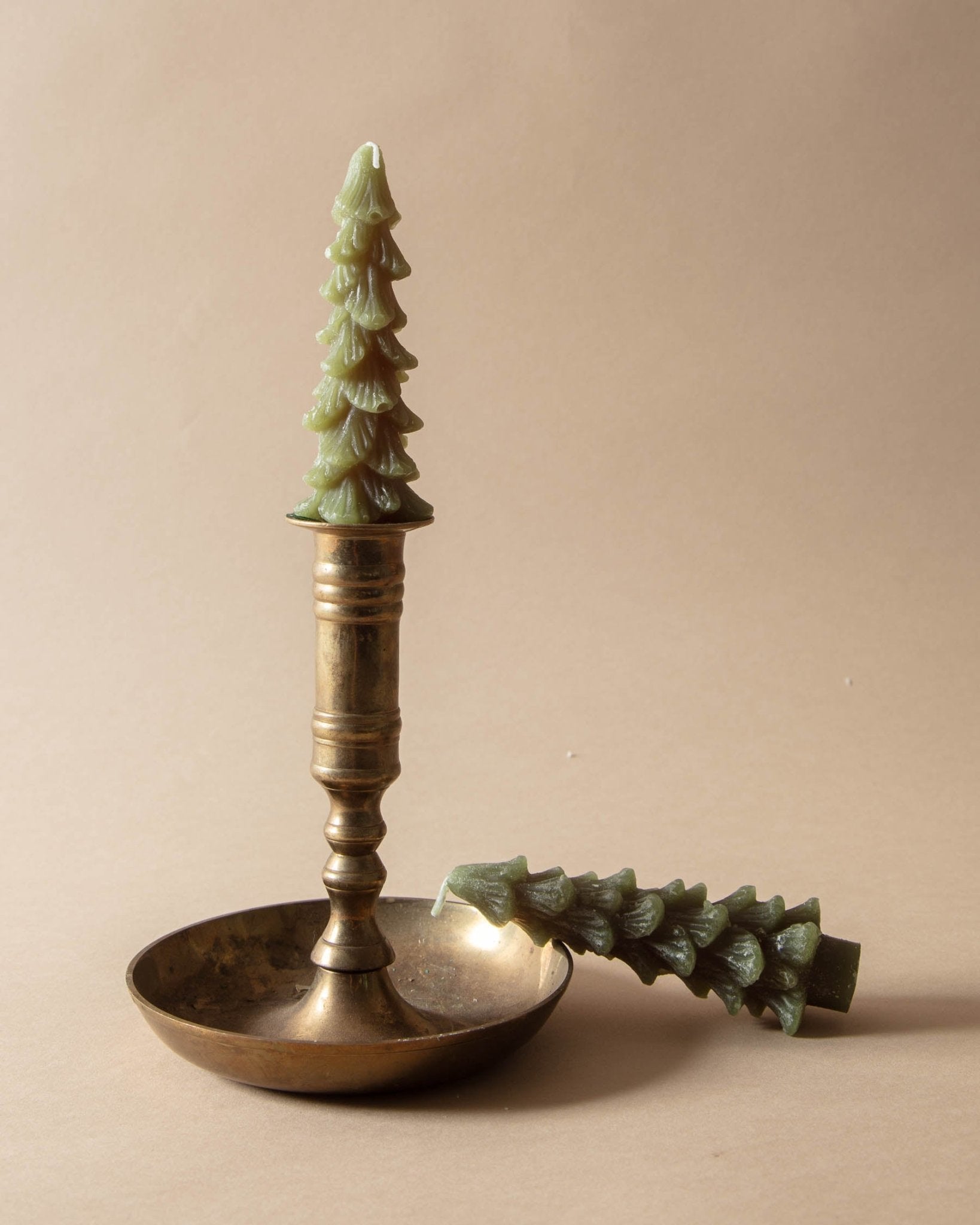 Evergreen Tree Taper Candles – Lone Fox