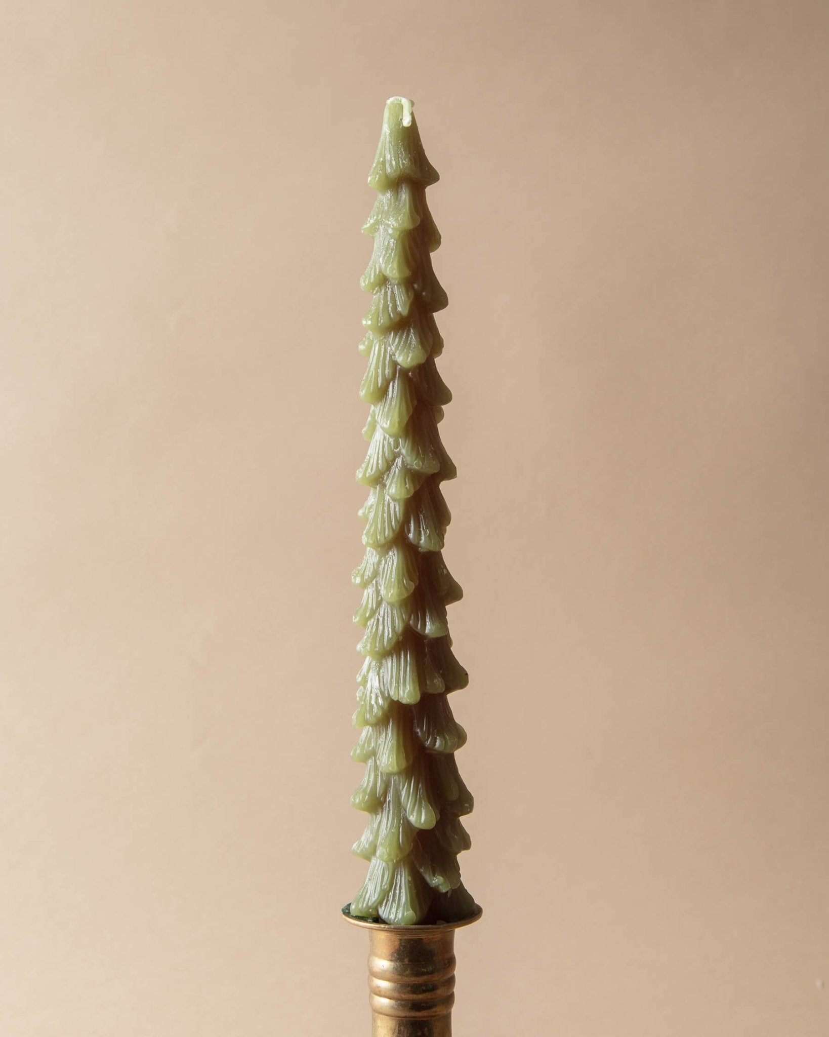 Evergreen Tree Taper Candles – Lone Fox