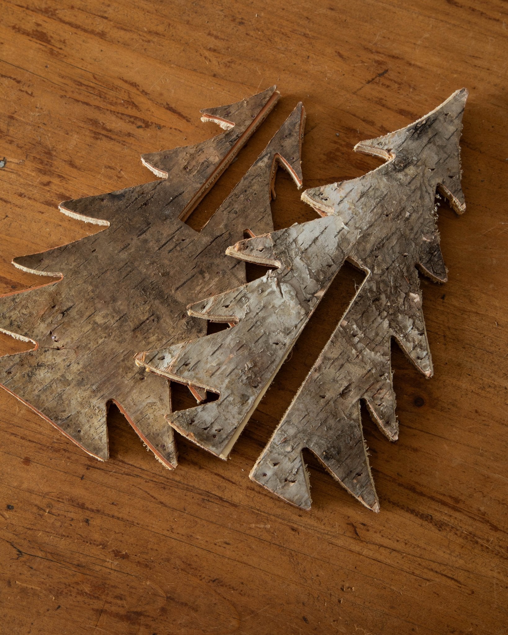 Interlocking Birch Bark Trees – Lone Fox