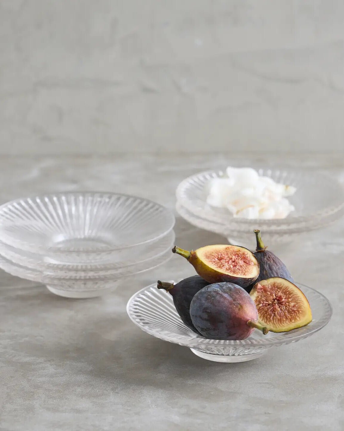 Pressed Clear Glass Small Plates (Set of 6) – Lone Fox